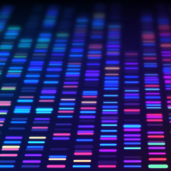 Our Science - Concinnity